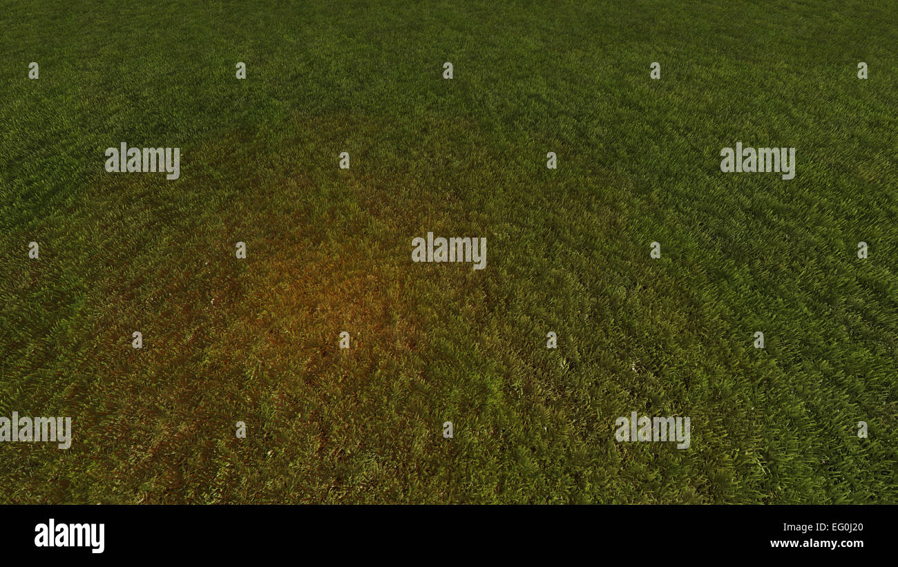 Perfect Grass made in 3d software Stock Photo - Alamy