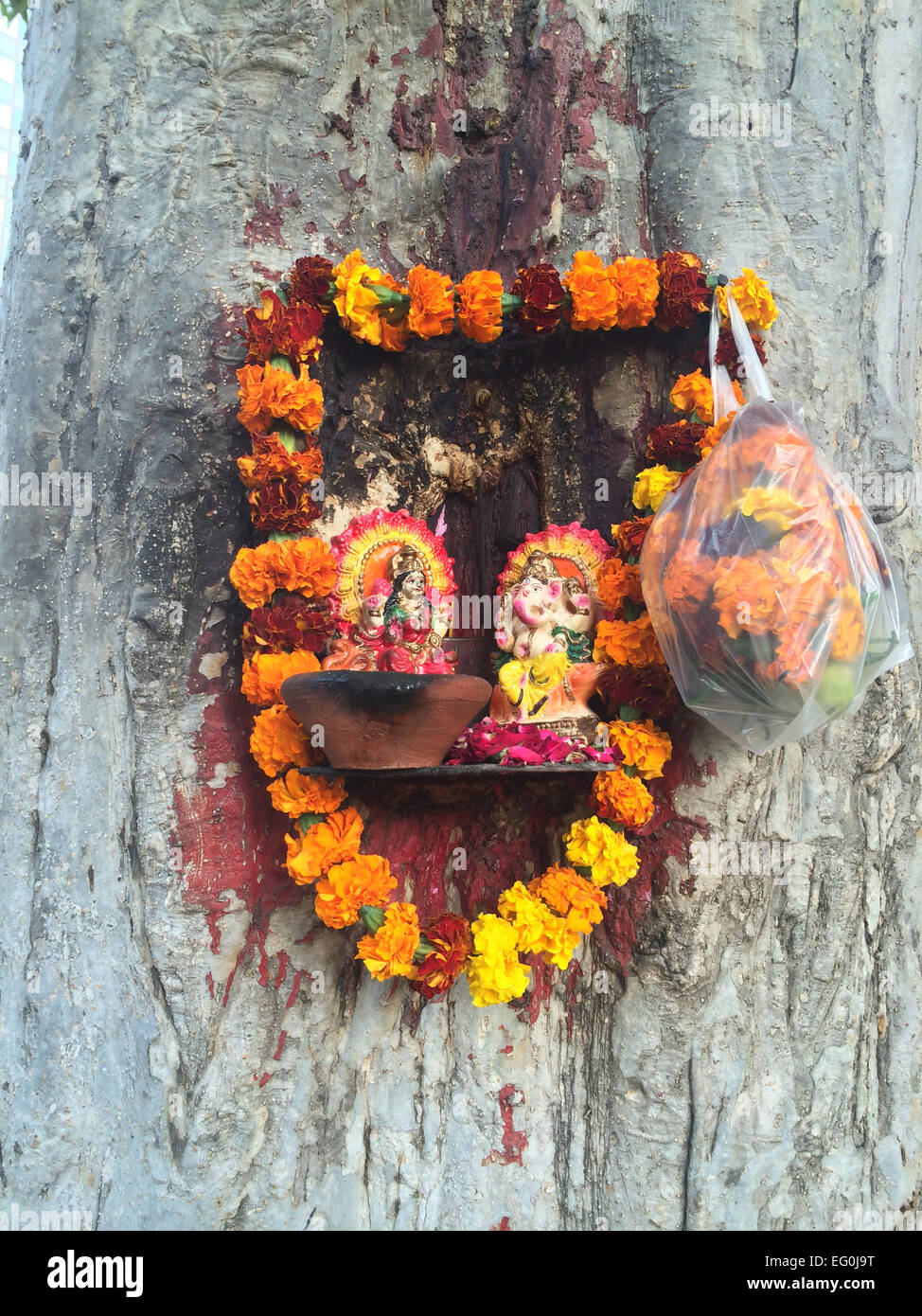 Little hindu shrine nailed to tree trunk hi-res stock photography and ...