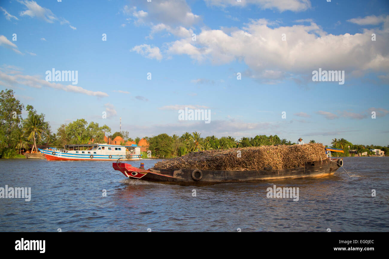 Boats on Ben Tre River, Ben Tre, Mekong Delta, Vietnam Stock Photo - Alamy
