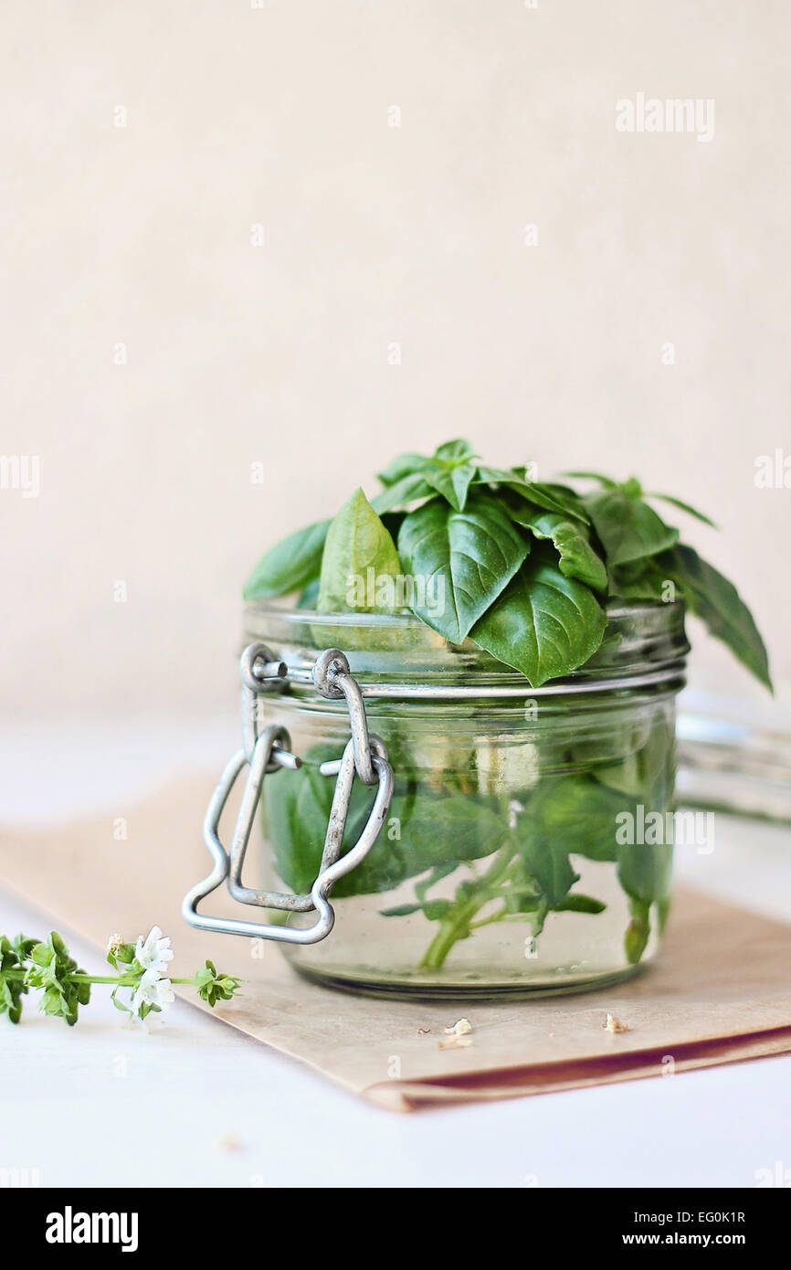 Fresh basil leaves in glass jar Stock Photo - Alamy