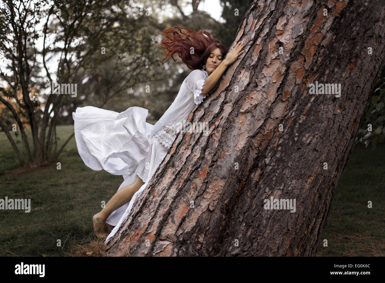 Beautiful woman hugging a tree Stock Photo - Alamy