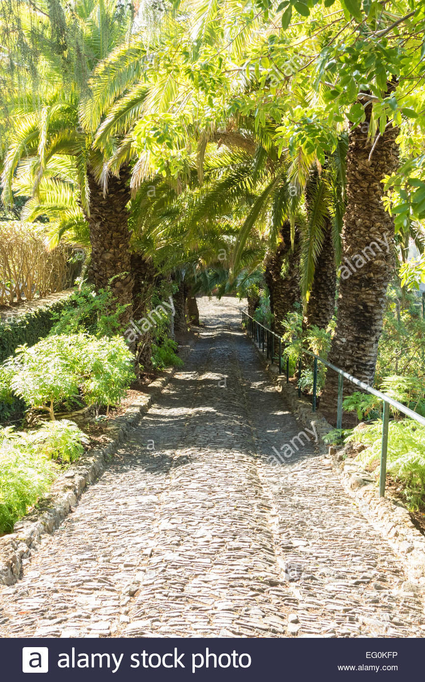 Cobbled Garden Path High Resolution Stock Photography and Images - Alamy