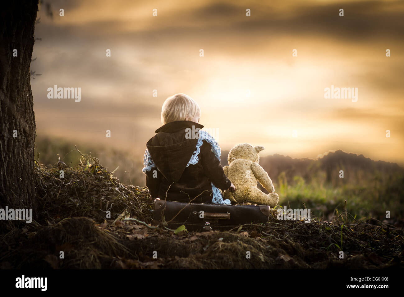 Sitting tree roots hi-res stock photography and images - Alamy