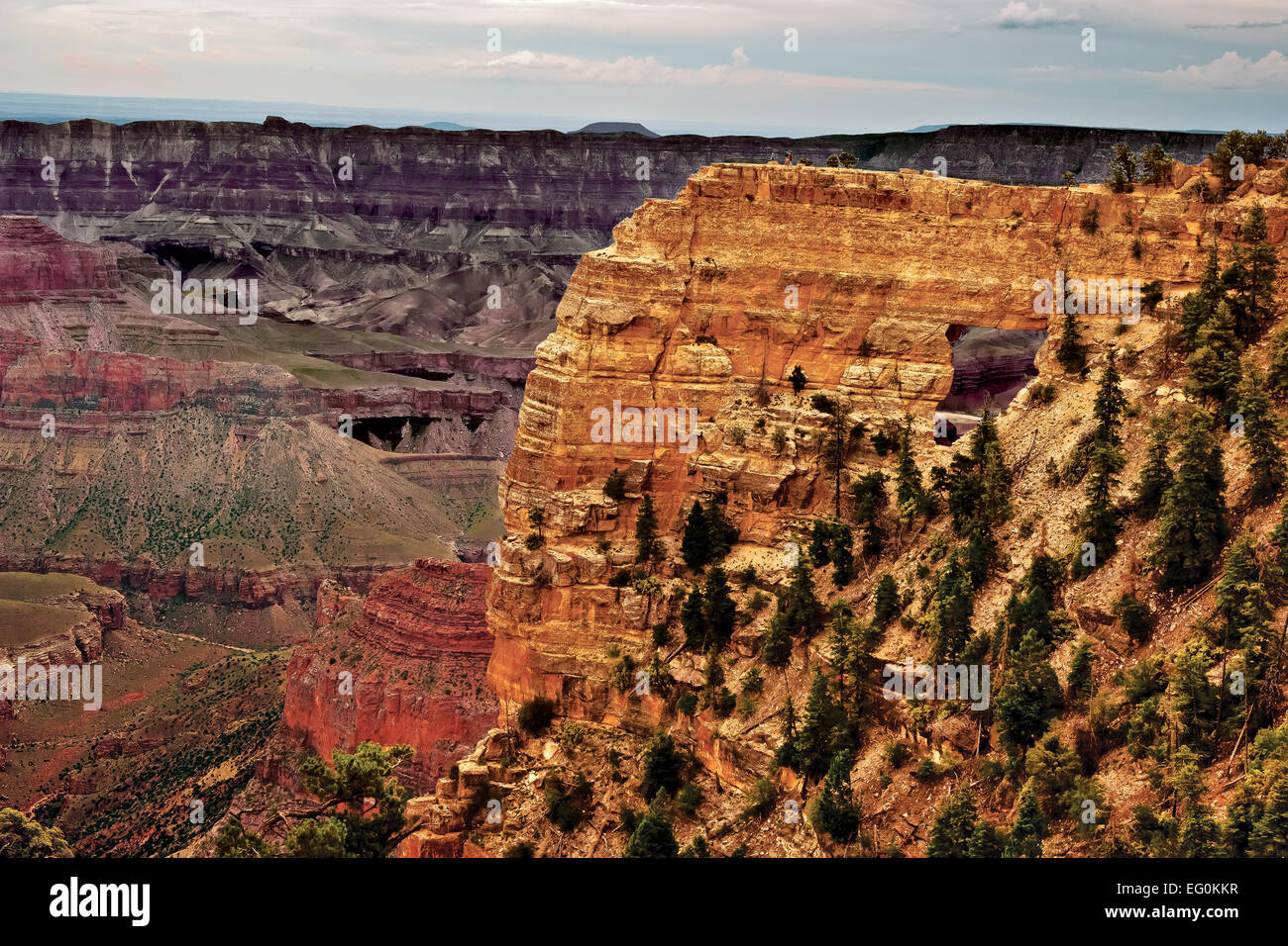 USA, Arizona, North Rim, View of Cape Royal Grand Canyon Stock Photo ...