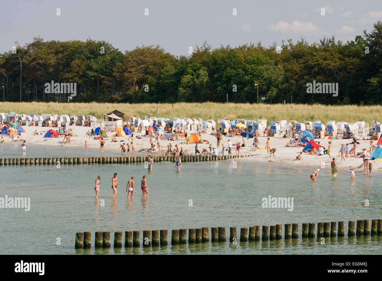 Baltic beach at Ahrenshoop on the Darß, Mecklenburg -Vorpommern Stock ...