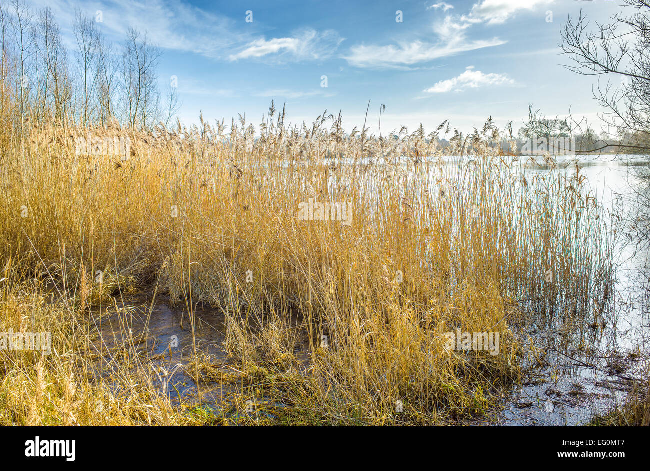 Stanwick hi-res stock photography and images - Alamy