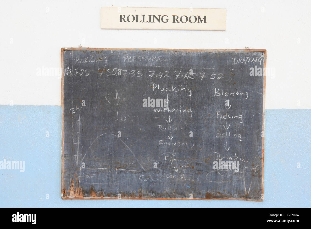 A board shows the different steps during the tea production at the tea ...