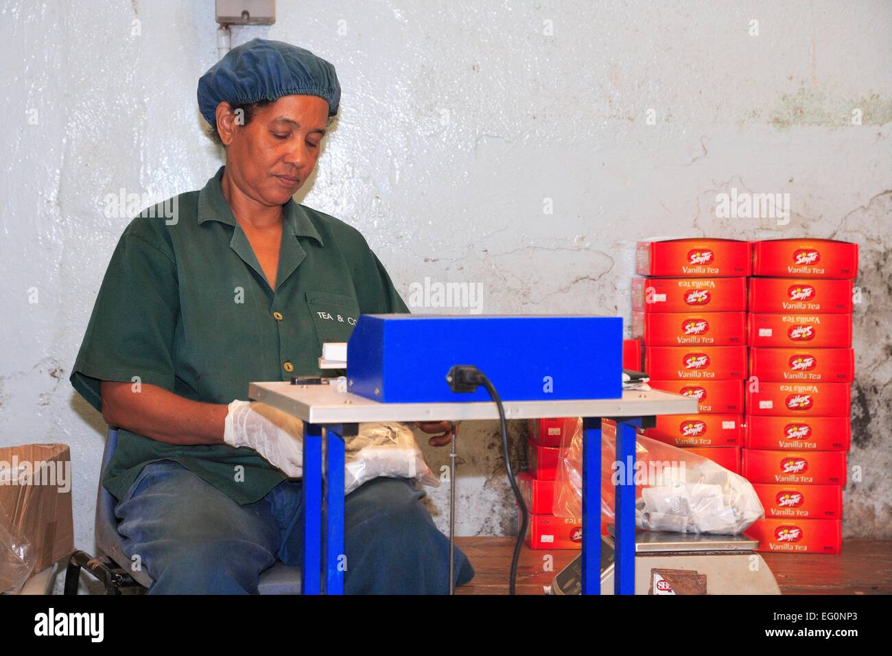 Tea production at the tea factory of the Seychelles Trading Company on ...