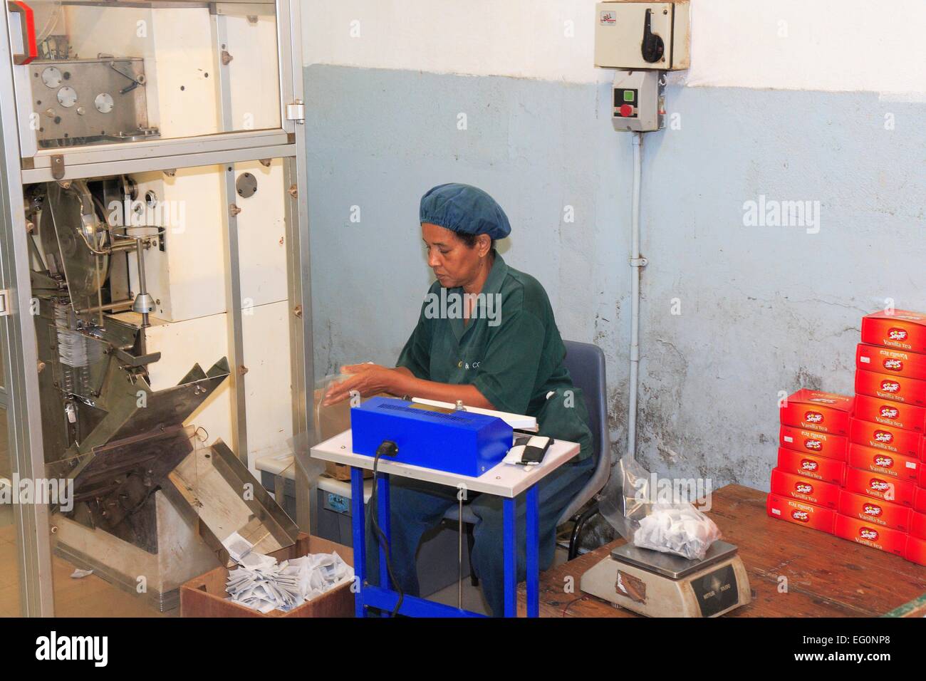 Tea production at the tea factory of the Seychelles Trading Company on ...