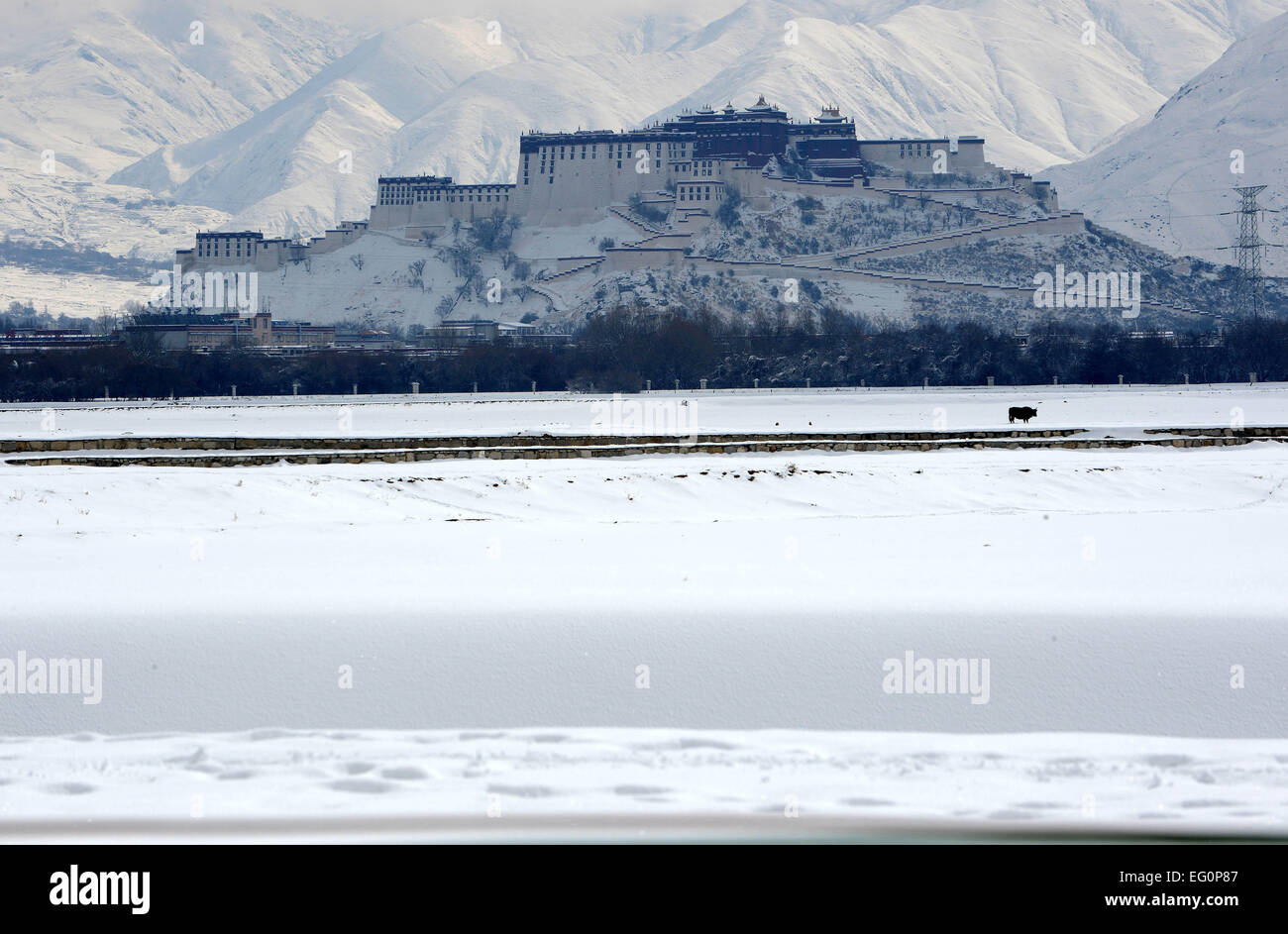 Lhasa, China's Tibet Autonomous Region. 13th Feb, 2015. The Potala ...
