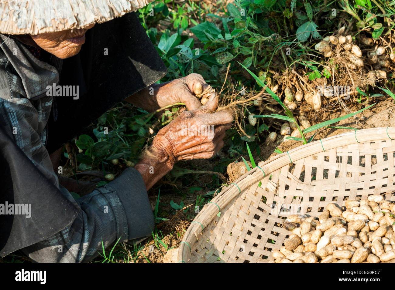 Peanut shack hi-res stock photography and images - Alamy