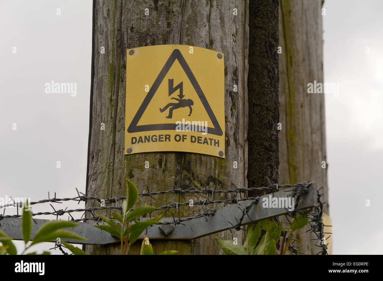Danger of death sign on electricity pylon Stock Photo - Alamy