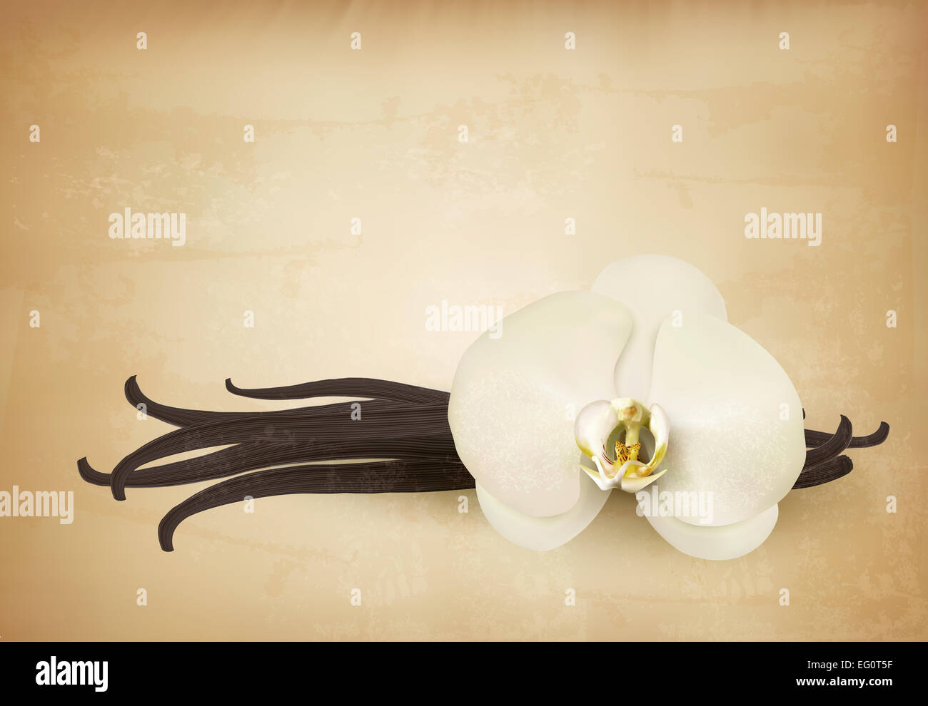 Vanilla retro background. Vector Stock Photo - Alamy