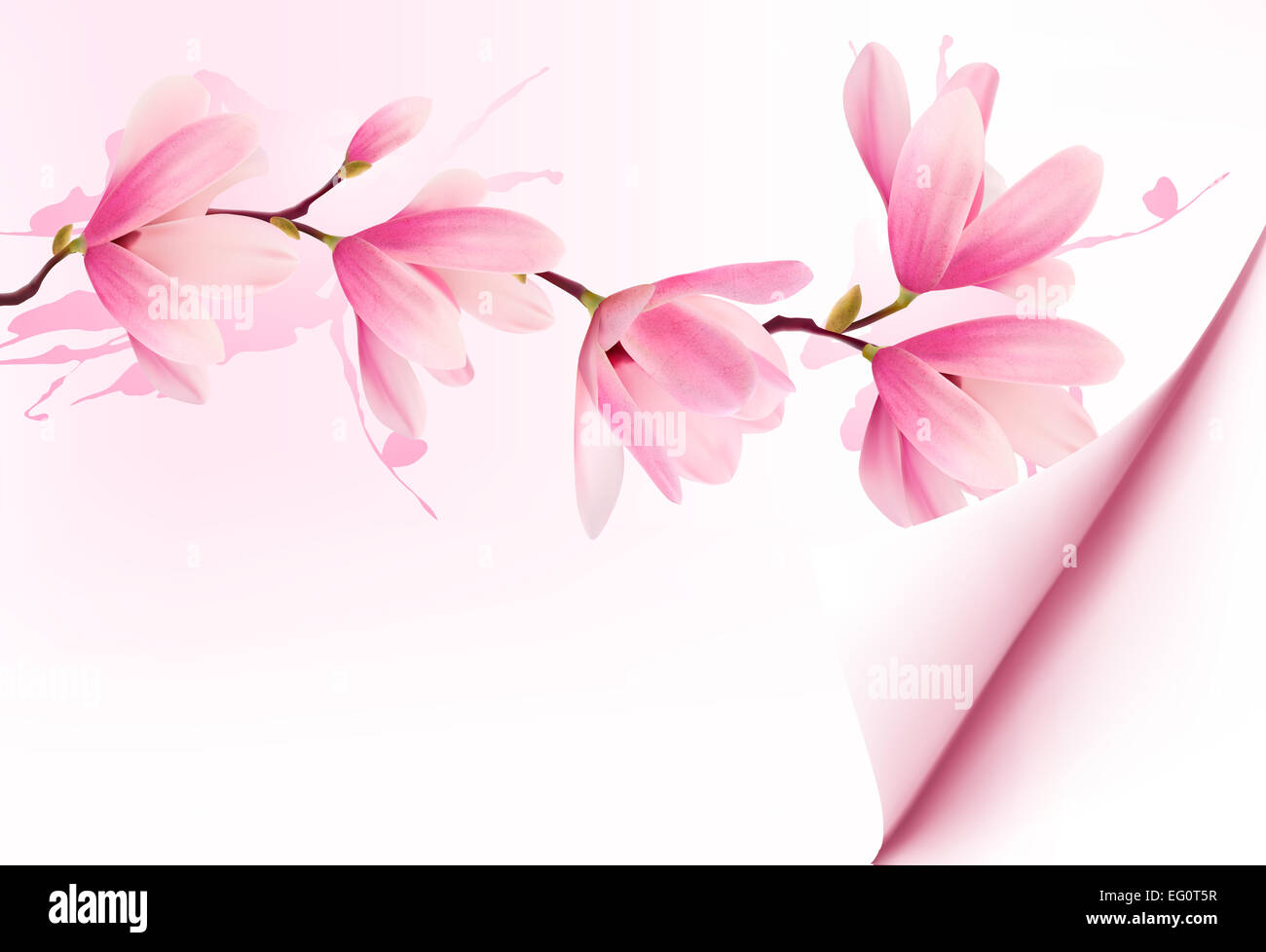 Spring background with blossom brunch of pink flowers. Vector Stock ...
