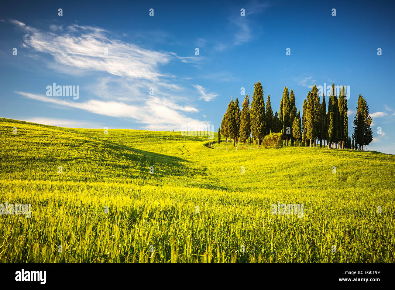 Tuscany at spring Stock Photo - Alamy