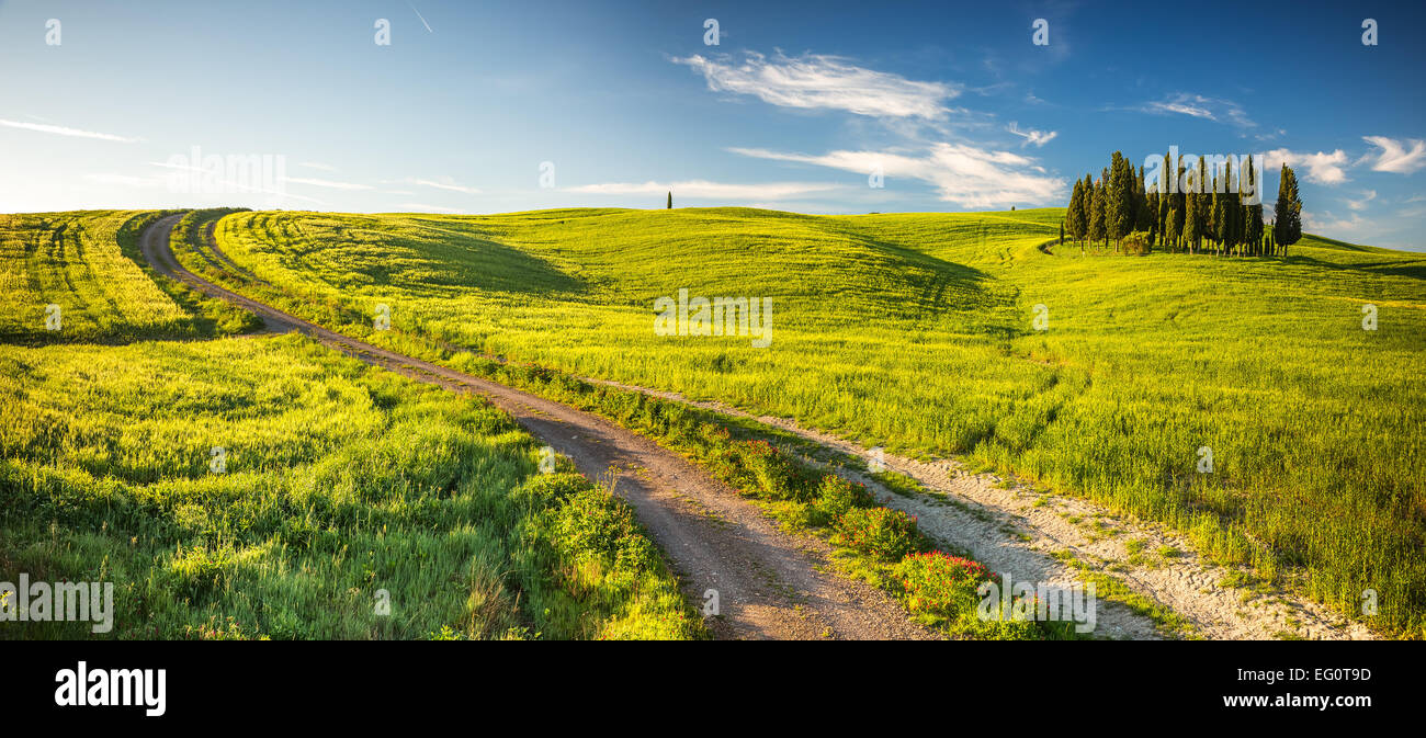 Tuscany at spring Stock Photo - Alamy