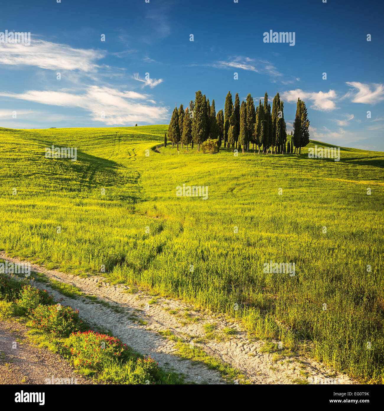 Tuscany at spring Stock Photo - Alamy
