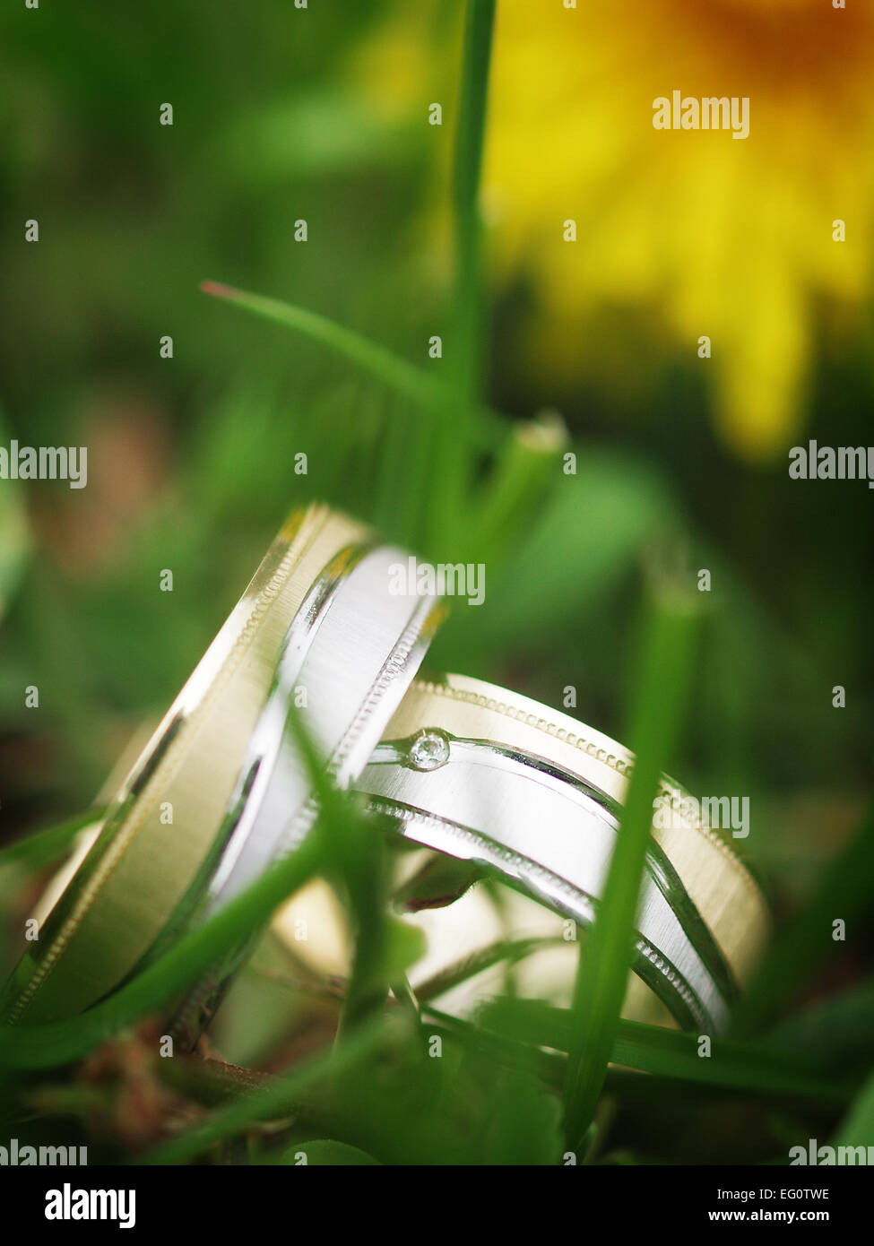 Wedding rings rings hi-res stock photography and images - Alamy