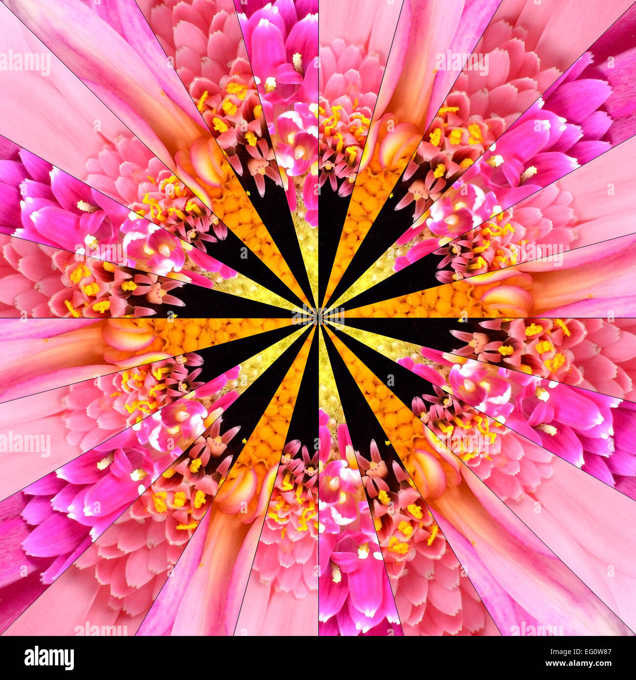Pink Flower Center Symmetric Collage Made of Collection of Various ...