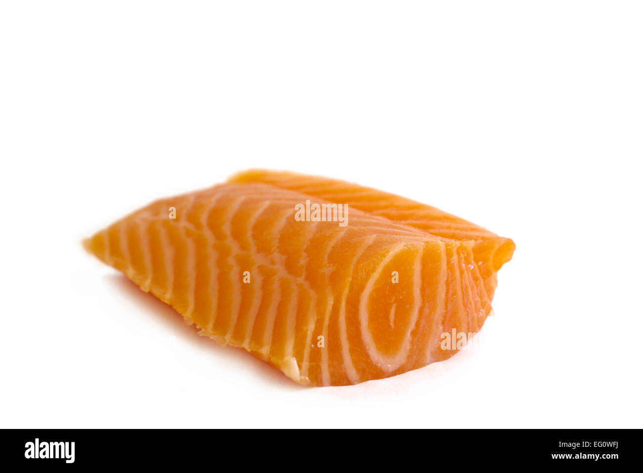 Wild species photography Cut Out Stock Images & Pictures - Alamy