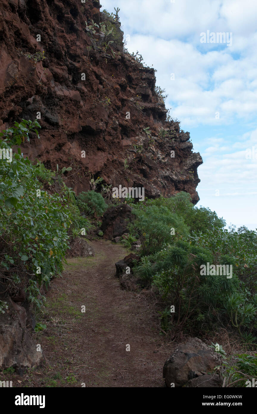 Locals call the deep gullies in the volcanic slopes "barranco" and ...