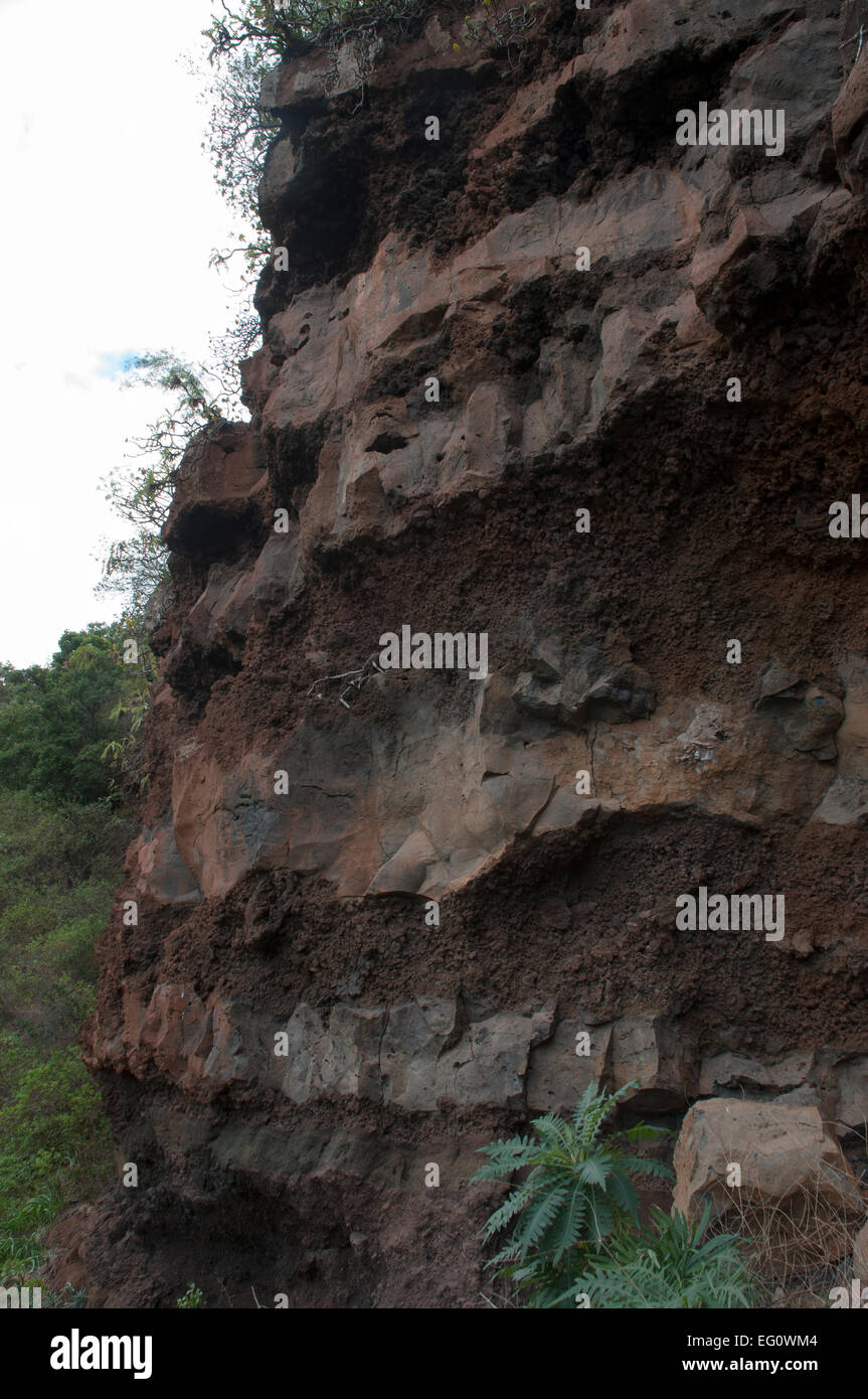 Locals call the deep gullies in the volcanic slopes "barranco" and ...