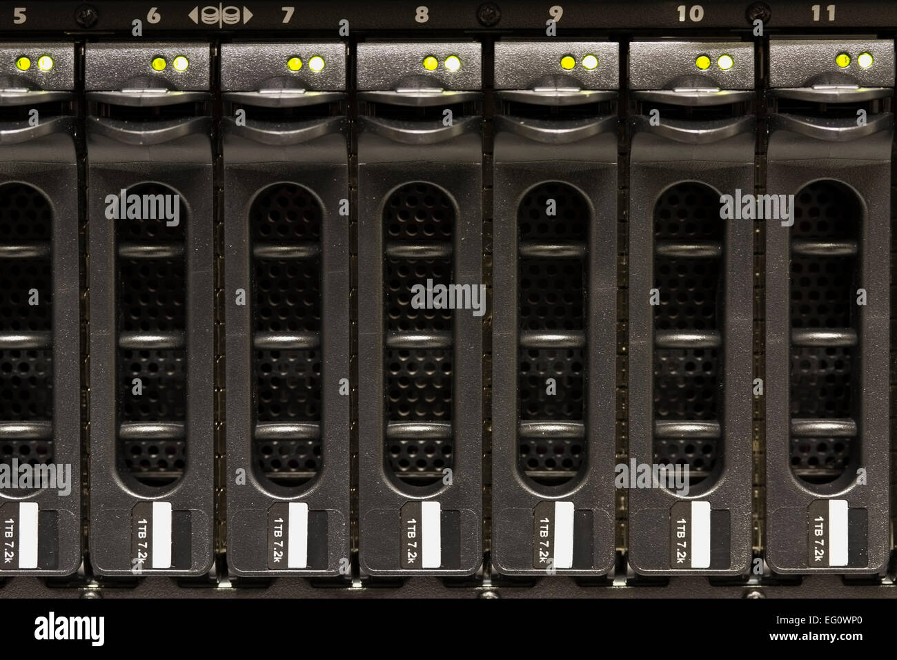 A disk cabinet / SAN with many large hard drives mounted in a rack ...