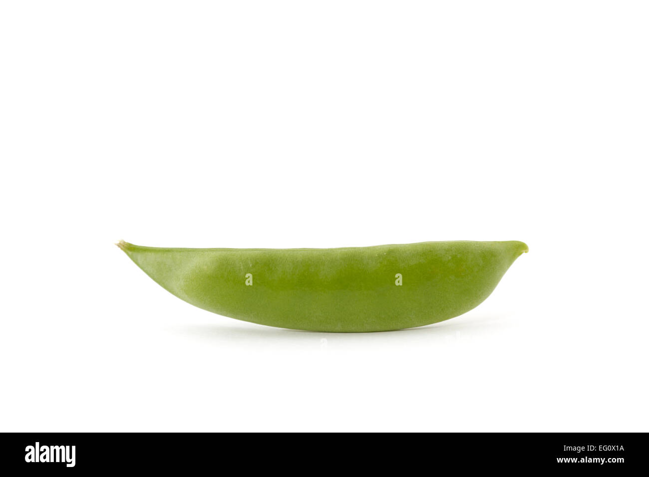 Single organic sweet pea on white background Stock Photo - Alamy