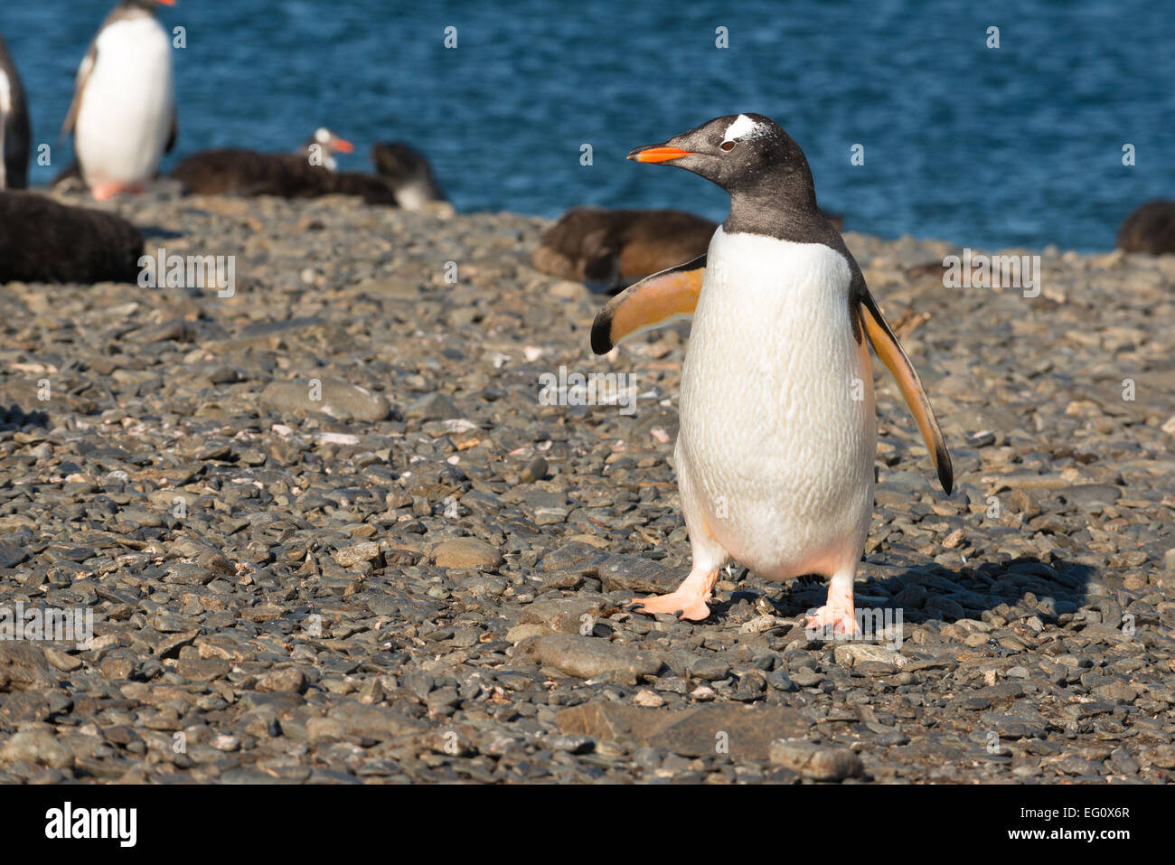 Sandwich islands hi-res stock photography and images - Alamy