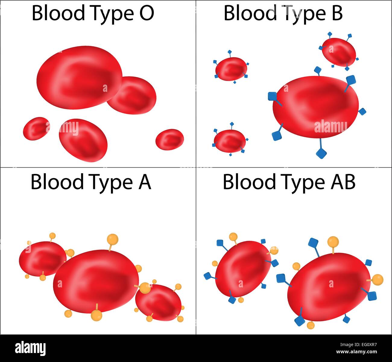 Blood vectors hi-res stock photography and images - Alamy