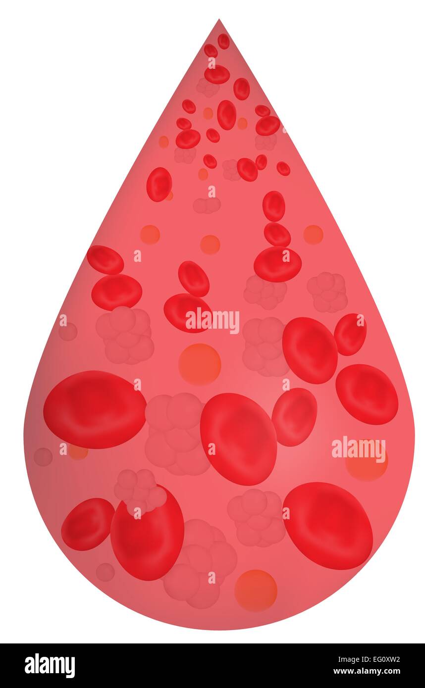 Drop of Blood Stock Vector Image & Art - Alamy