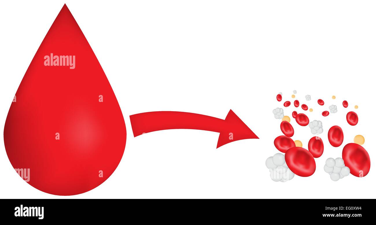 Components blood Stock Vector Images - Alamy