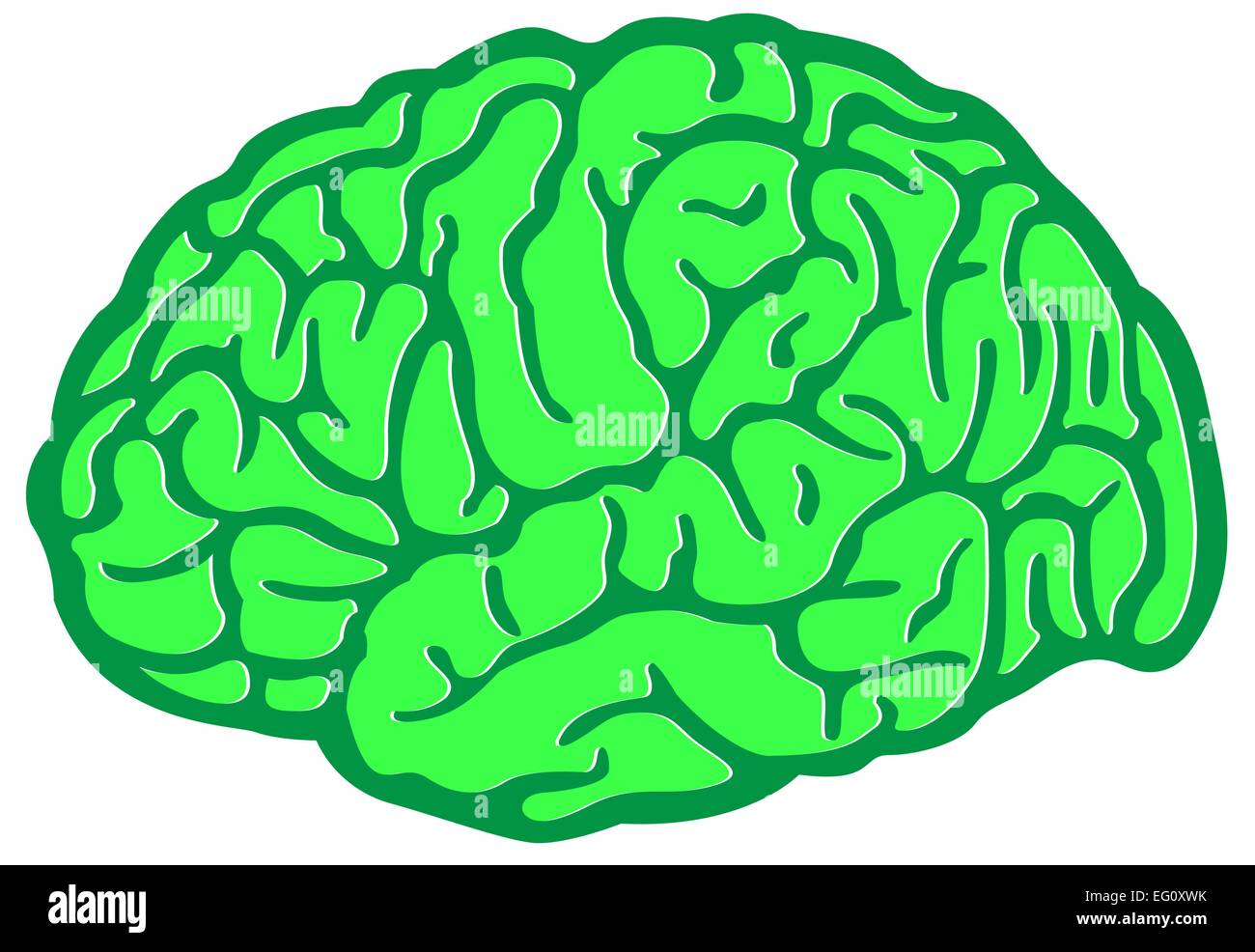 Brain eco green think friendly hi-res stock photography and images - Alamy