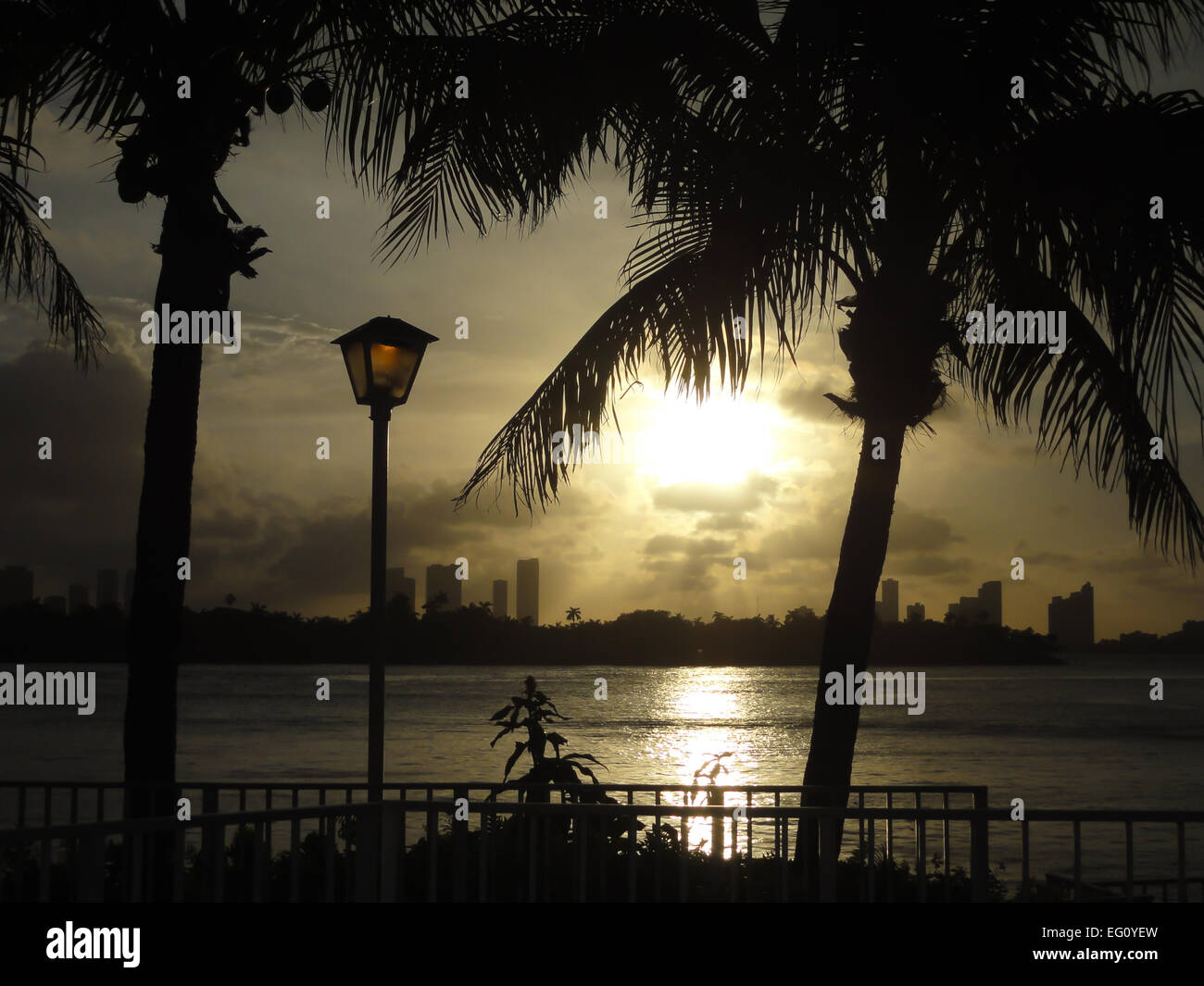 Miami backlight view at sunset Stock Photo - Alamy