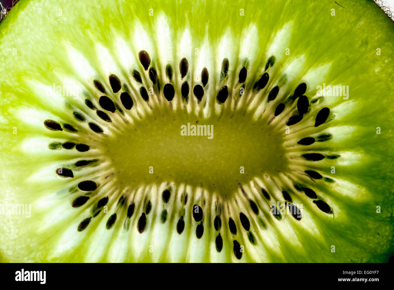 Detail of a the core of a fresh piece kiwi fruit Stock Photo - Alamy