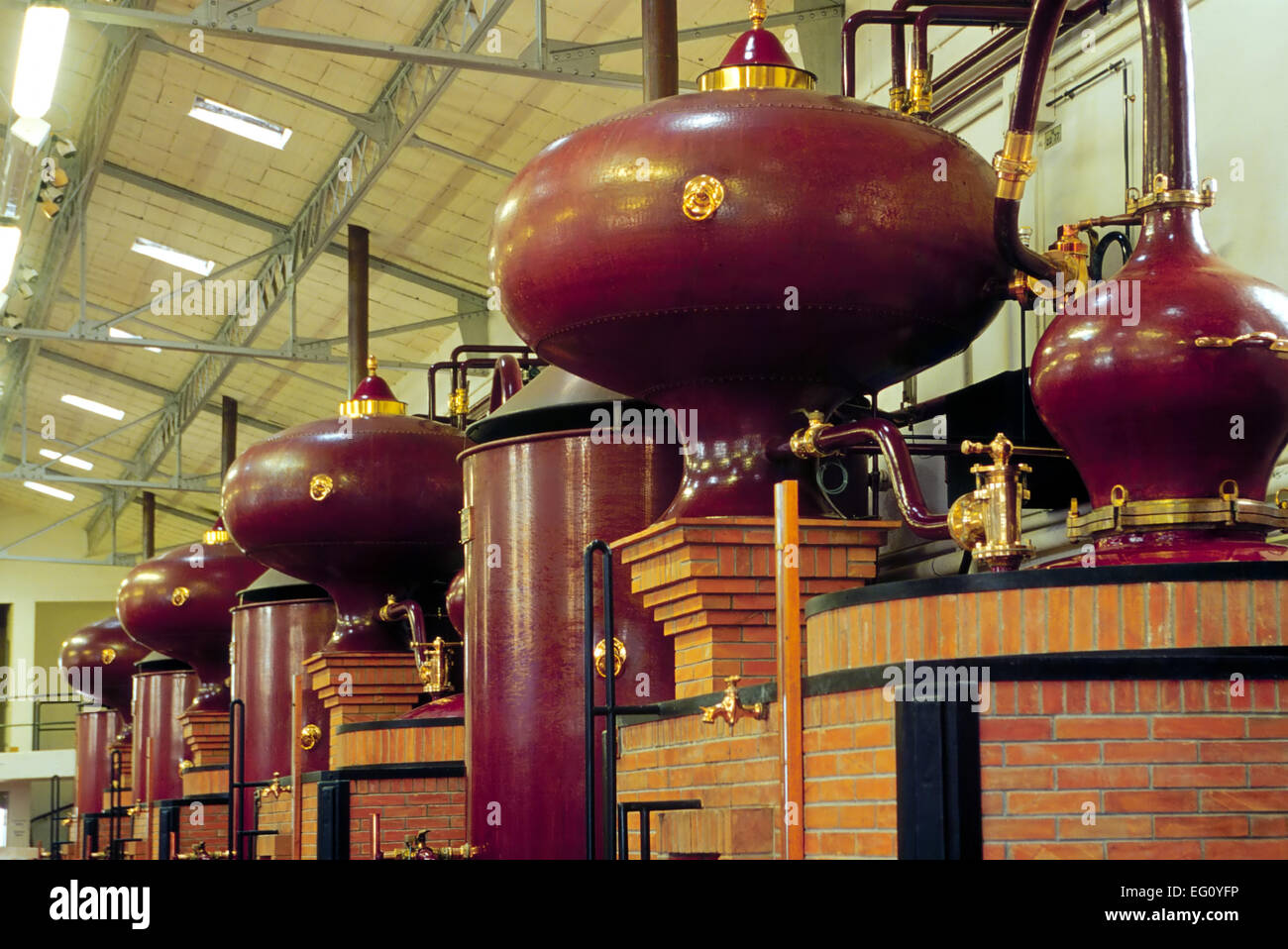 France, production of the Cognac, Hennessy distillery Stock Photo - Alamy