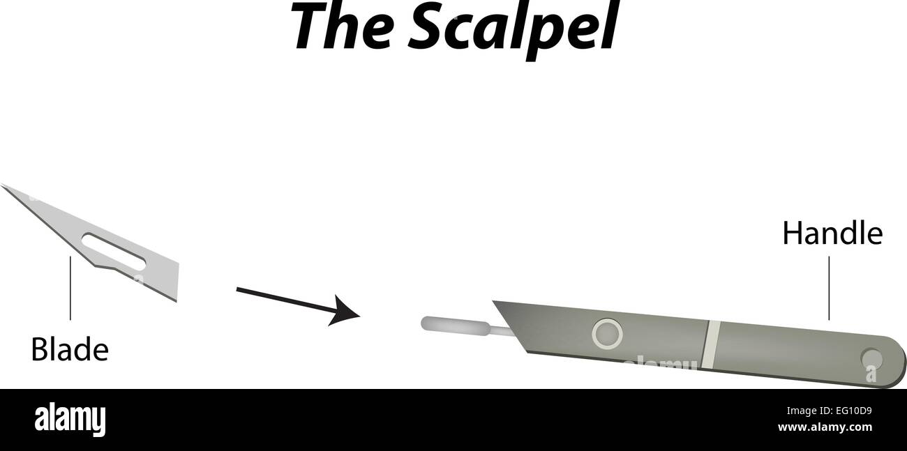 Scalpel knife hi-res stock photography and images - Alamy