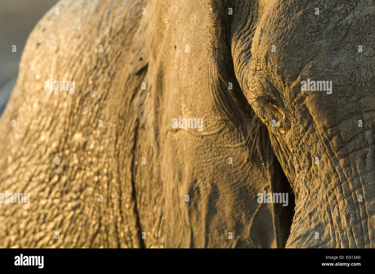 Side to side movements hi-res stock photography and images - Alamy