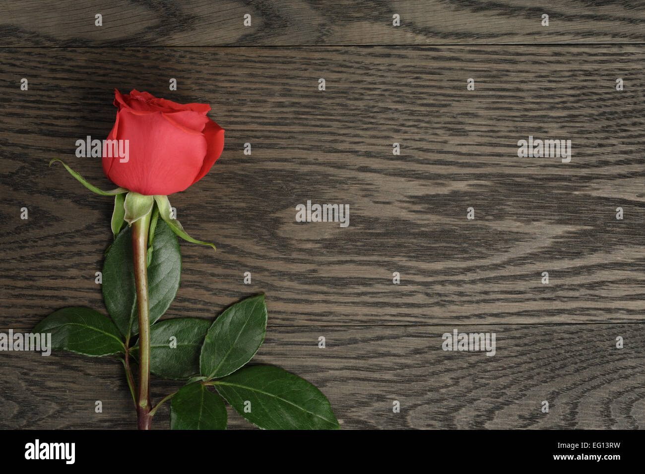Romantic background with red rose on wood table Stock Photo - Alamy