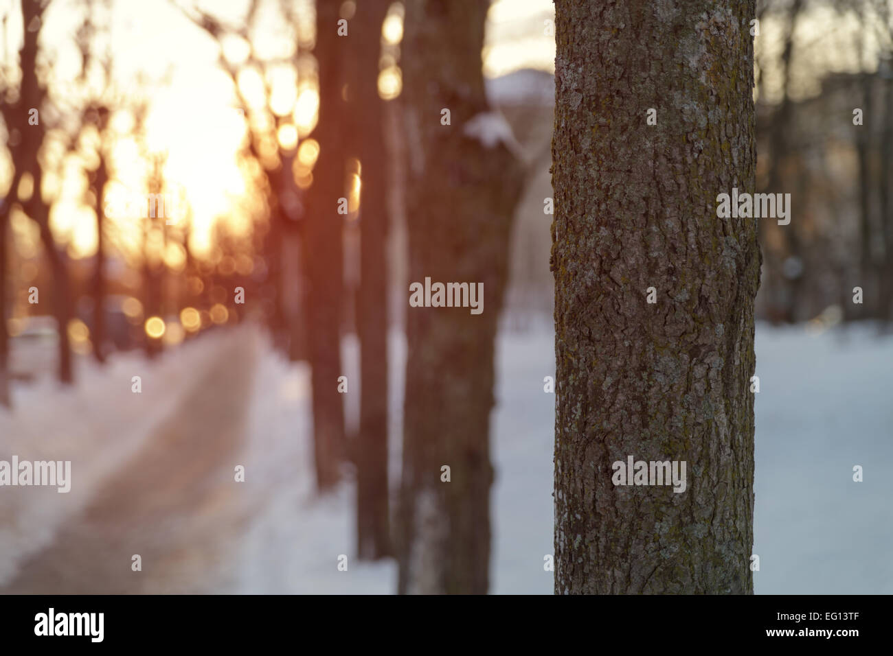 sidewalk in town morning photo Stock Photo - Alamy