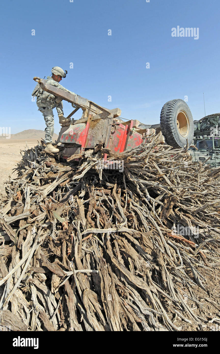 U.S. Army Staff Sgt. David C. Beyl from 1st Platoon, Bear Troop, 8th ...