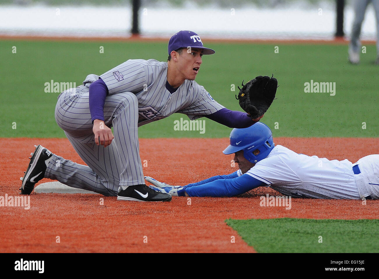 Tcu horned toads hi-res stock photography and images - Alamy