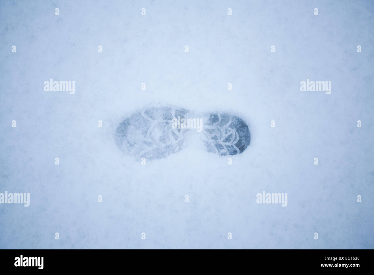 Birds imprint in the snow hi-res stock photography and images - Alamy