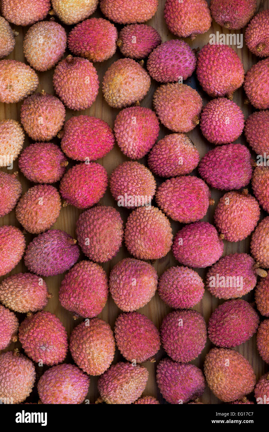 Litchi chinensis. Lychee fruit pattern Stock Photo - Alamy