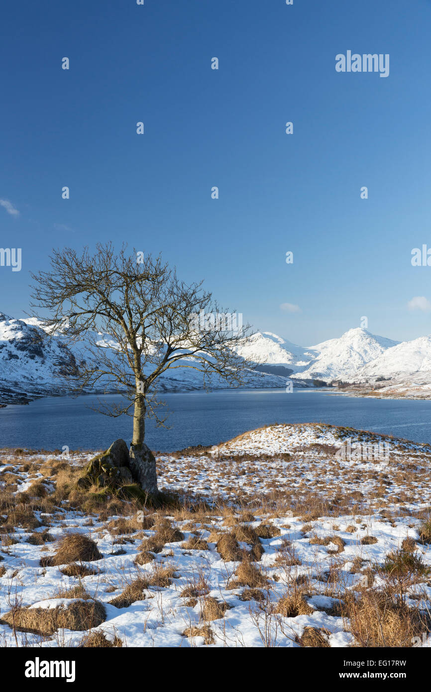 Loch Arklet in mid-winter, The Trossachs, Scotland, United Kingdom ...
