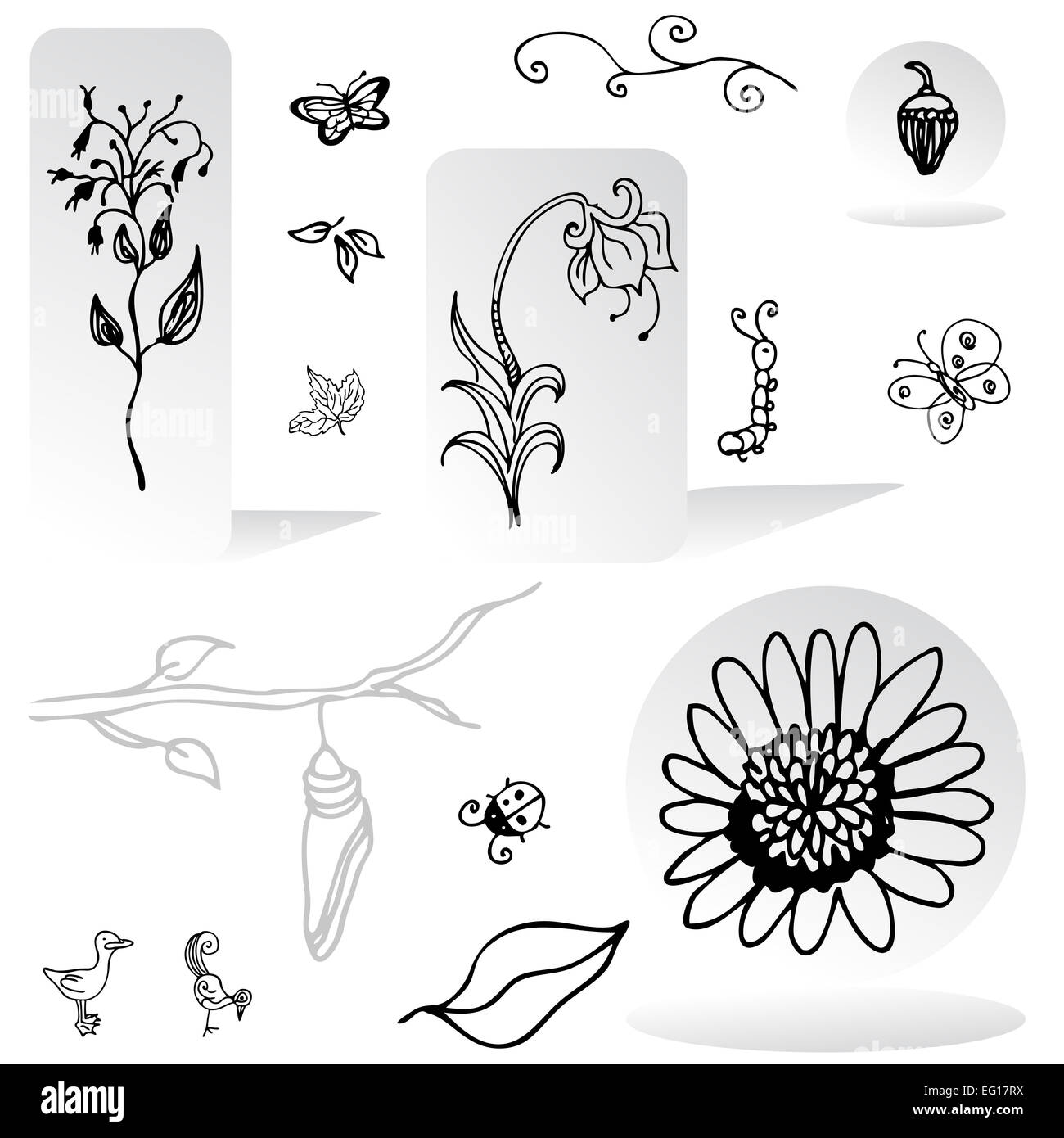 An image of a set of nature design elements Stock Photo - Alamy