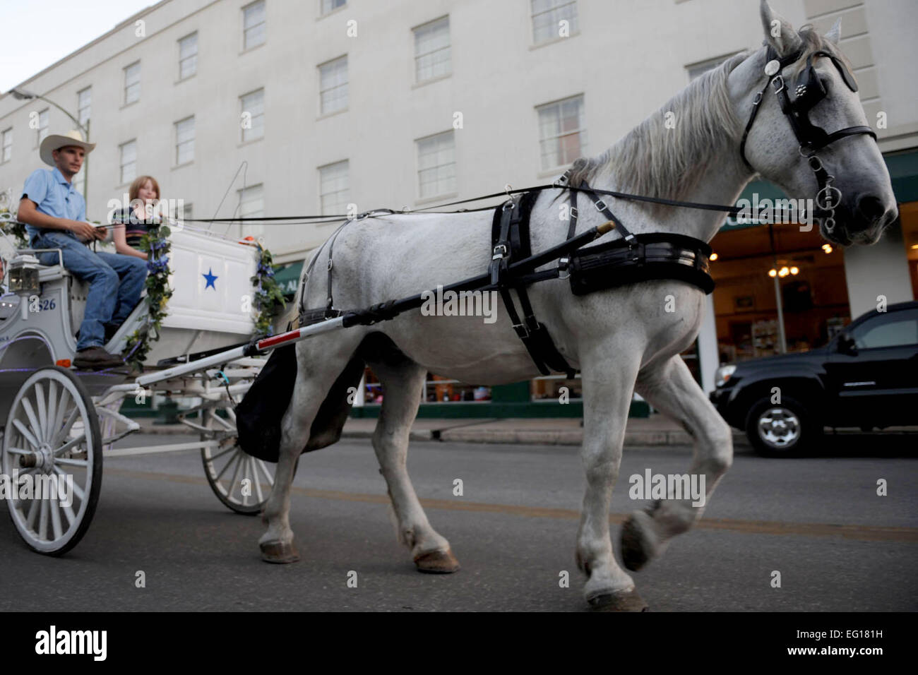 Richard Allerkamp, a carriage driver for the Lone Star Carriage Company ...
