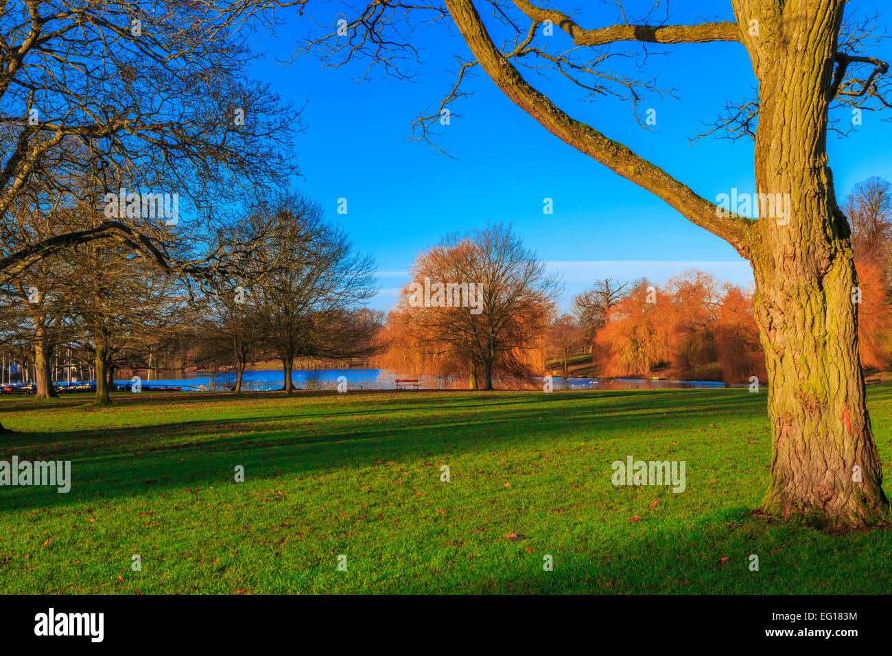 Scenic ;landscapes at Himley Hall & Park in Dudley, West Midlands - The ...