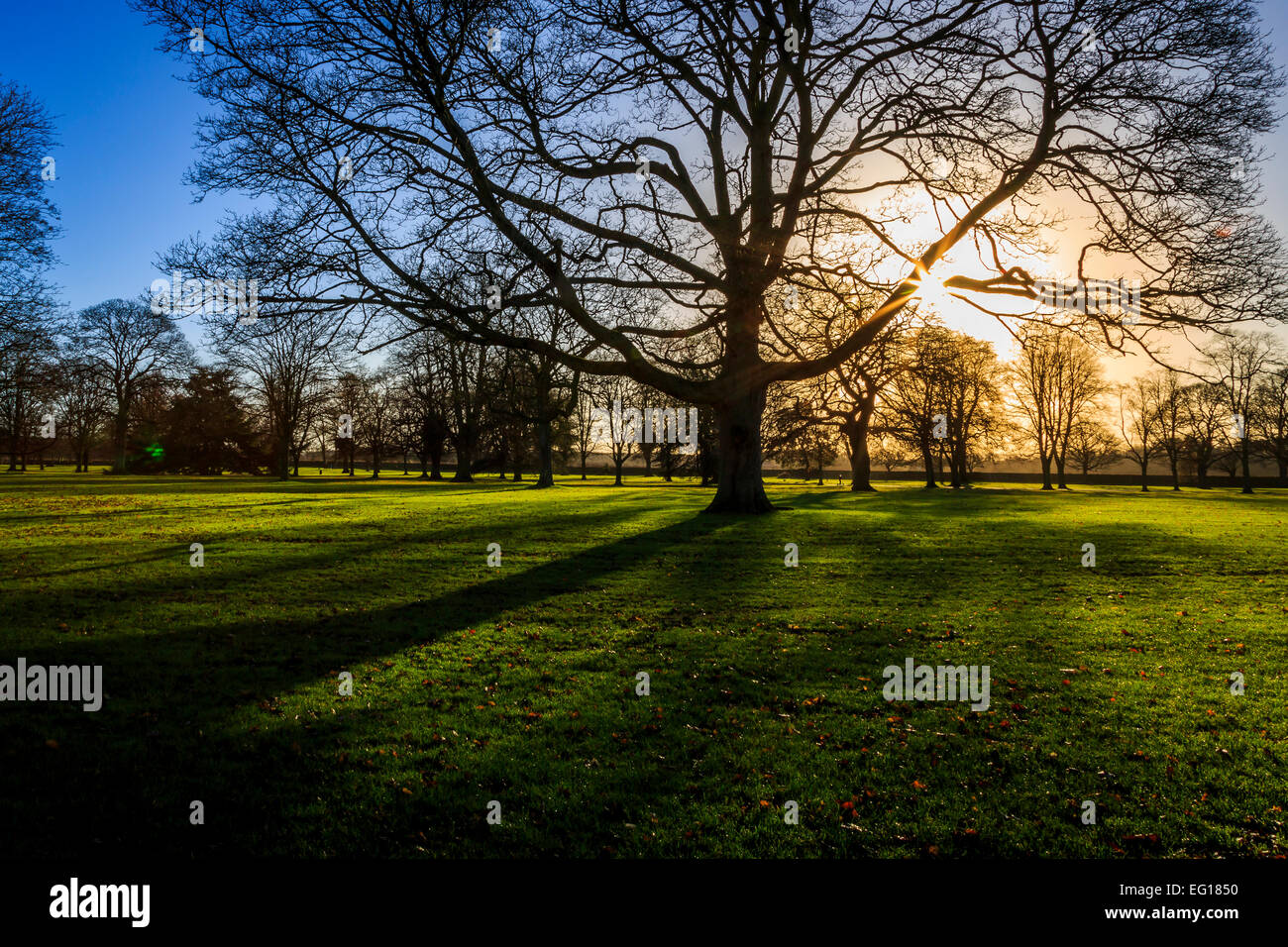 Scenic ;landscapes at Himley Hall & Park in Dudley, West Midlands - The ...