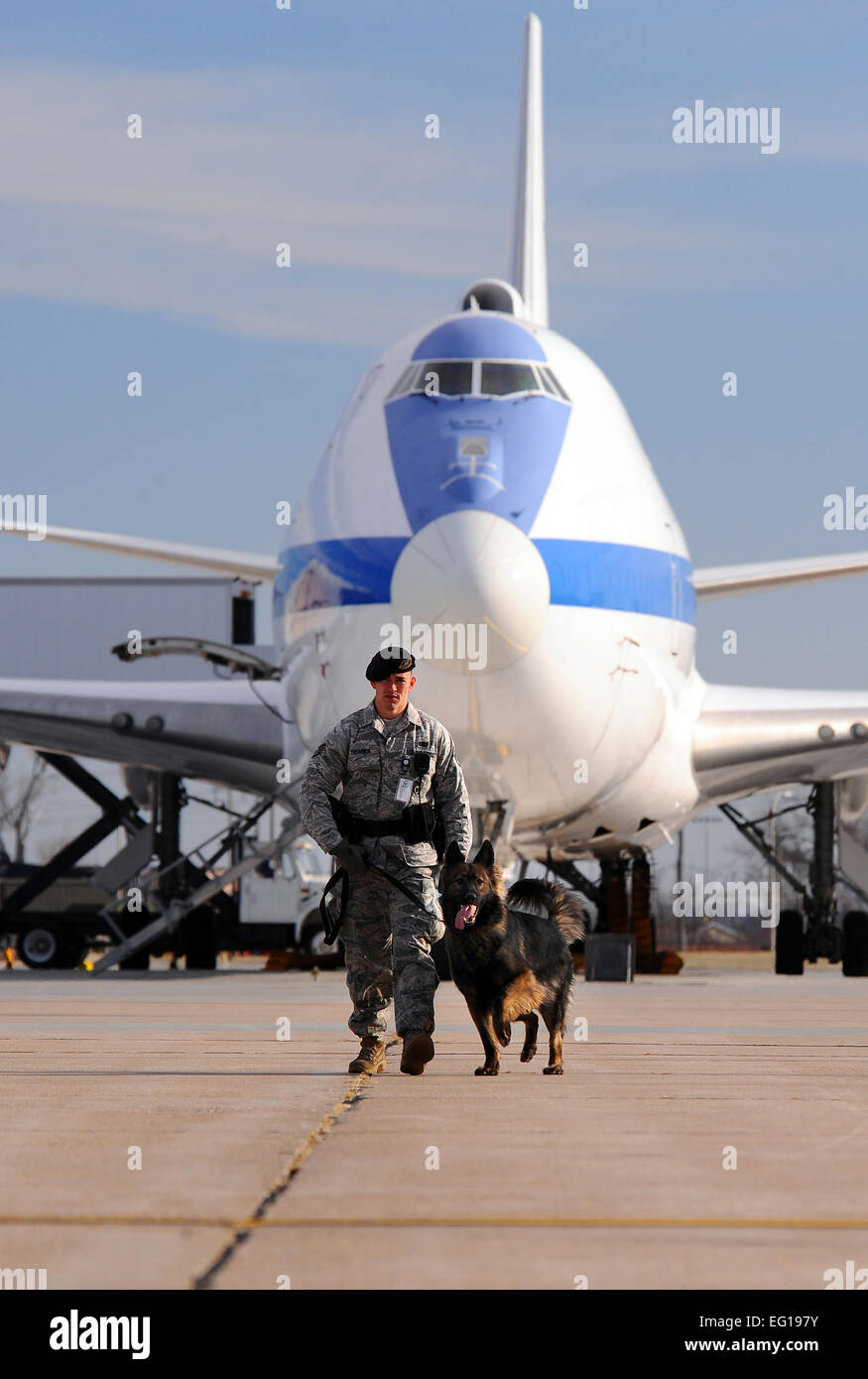 Security forces k9 handler dog hi-res stock photography and images - Alamy